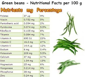 Properties and Benefits of Green Beans - NatureWord