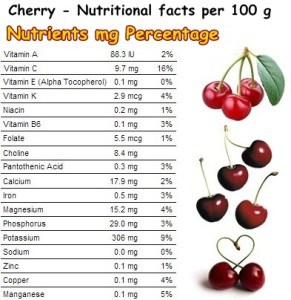 Properties and Benefits of Cherries - NatureWord