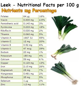 Leek antioxidant – NatureWord