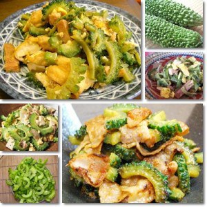 Properties and Benefits of Goya - NatureWord