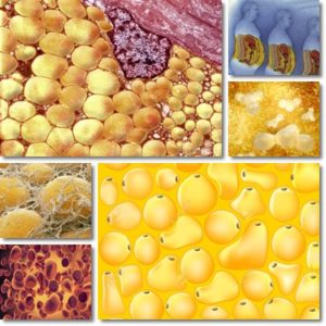 Loose Skin: (Causes-Symptoms and Treatment) - NatureWord