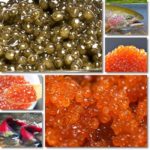 Properties and Benefits of Fish Eggs - NatureWord