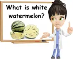 What Is White Watermelon? (Facts and Useful Info) - NatureWord