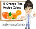 How to Make Orange Tea at Home: 5 Healthy Recipes - NatureWord