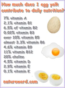 Egg Yolk: Nutrition Facts per 1 Egg Yolk - NatureWord
