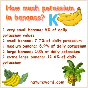 How Much Potassium In A Banana? - NatureWord