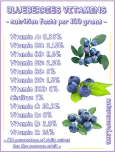 Blueberries: Calories and Vitamins per 100 Grams - NatureWord