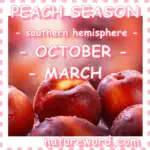 When Is Peach Season? (Both Hemispheres) - NatureWord