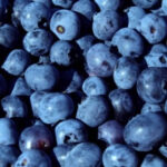 37 Fruits That Start With B (Immensive List) - NatureWord