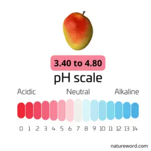 Is Mango Acidic or Alkaline? (All You Need To Know) - NatureWord